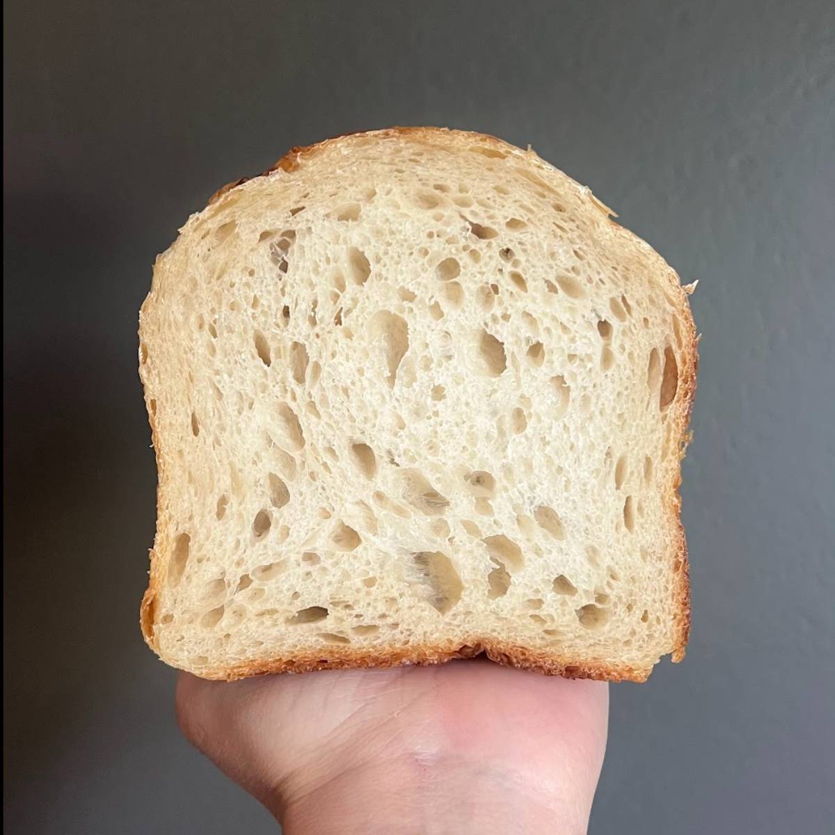 Sourdough - Leaf and Loaf