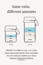 Sourdough Starter Feeding Ratios Explained - Leaf and Loaf