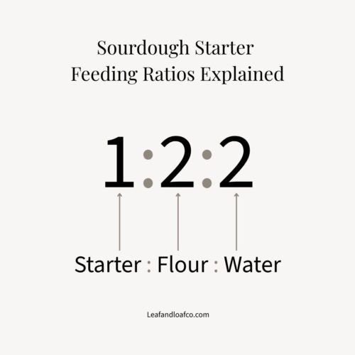 Sourdough Starter Feeding Ratios Explained - Leaf and Loaf