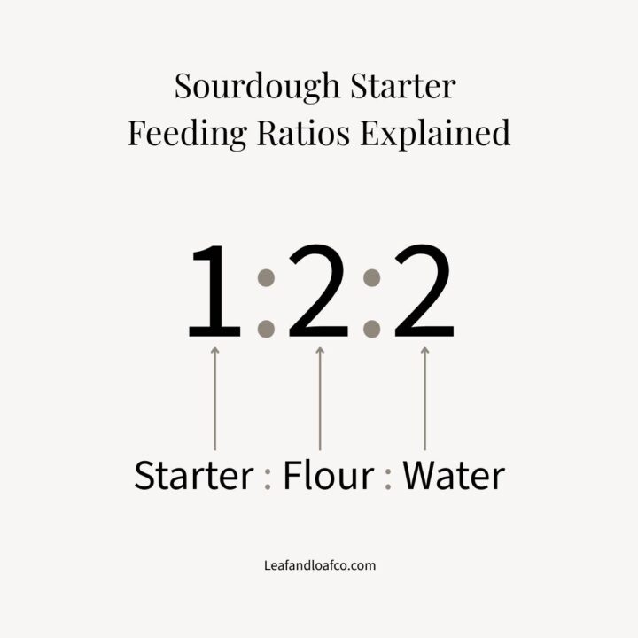 Sourdough Starter Feeding Ratios Explained - Leaf and Loaf